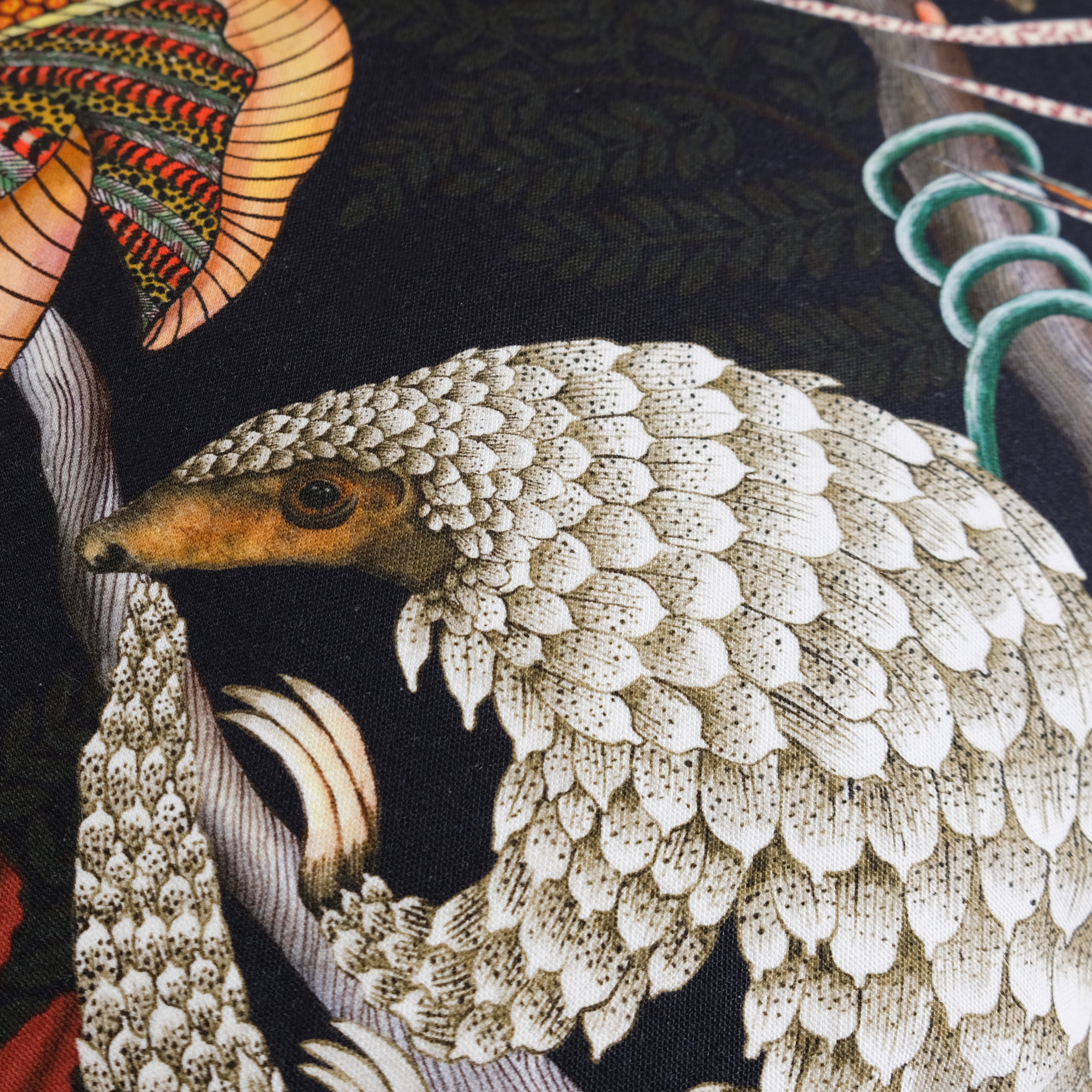 Thanda Pangolin in Night Cushion Cover – Abel Concept AS